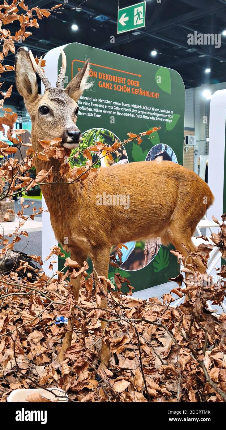 Berlin,18.01.2026,Grüne Woche, der Messestand des Deutschen ...