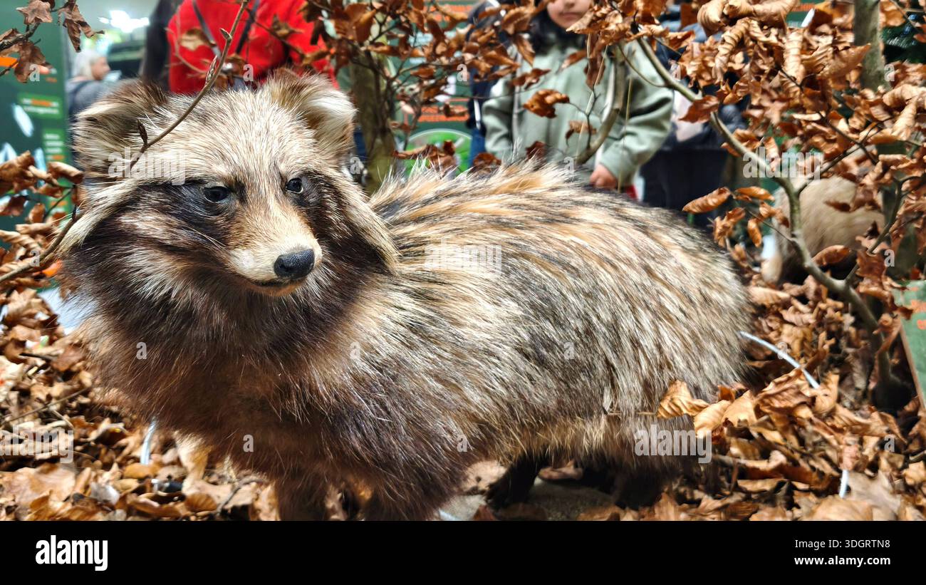 Berlin,18.01.2026,Grüne Woche, der Messestand des Deutschen ...