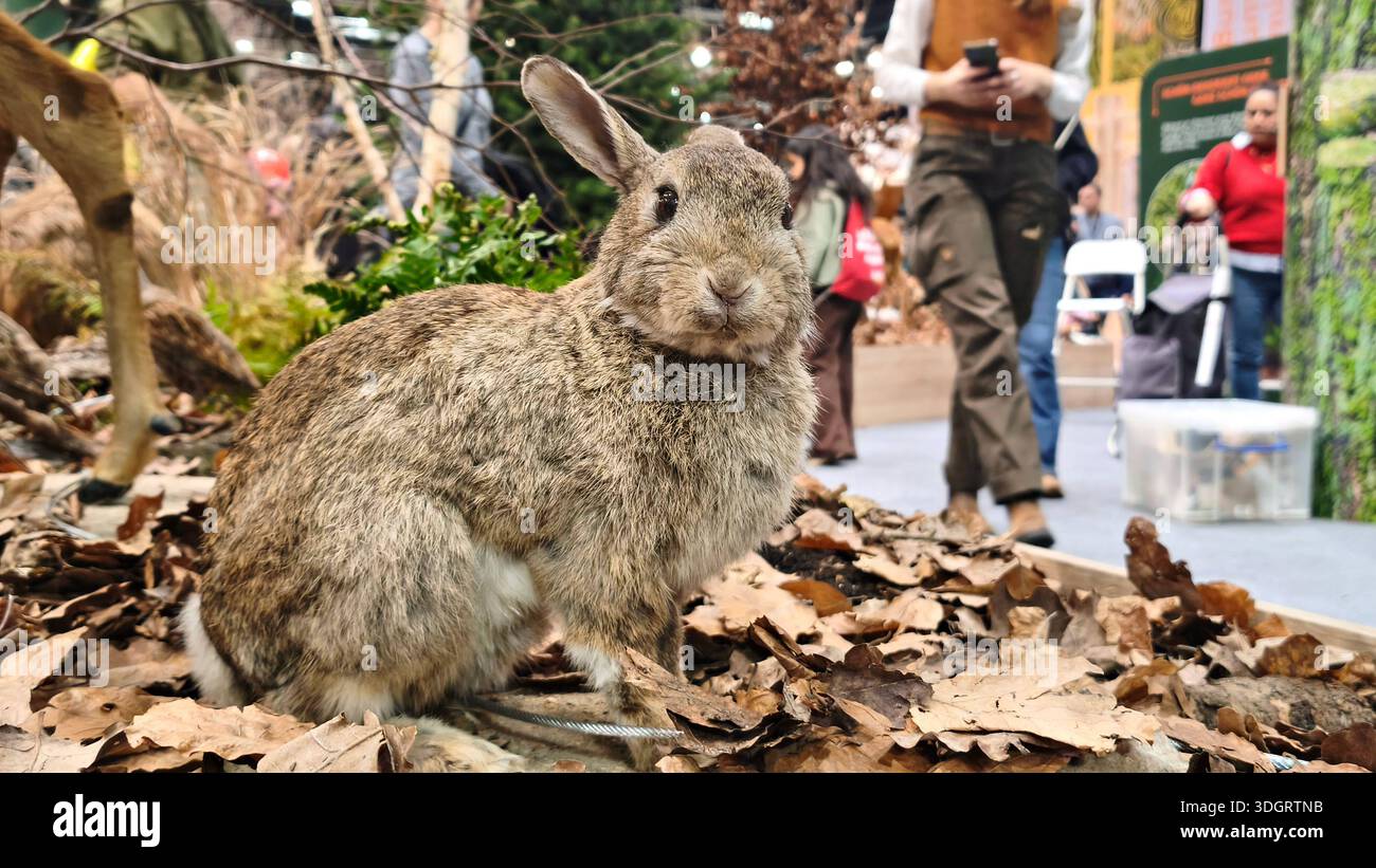 Berlin,18.01.2026,Grüne Woche, der Messestand des Deutschen ...