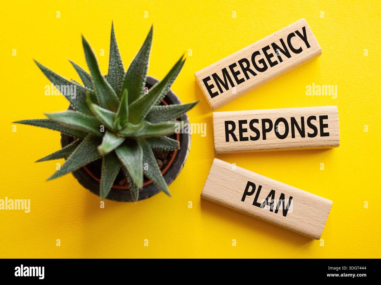Emergency Response Plan symbol. Concept words Emergency Response Plan ...