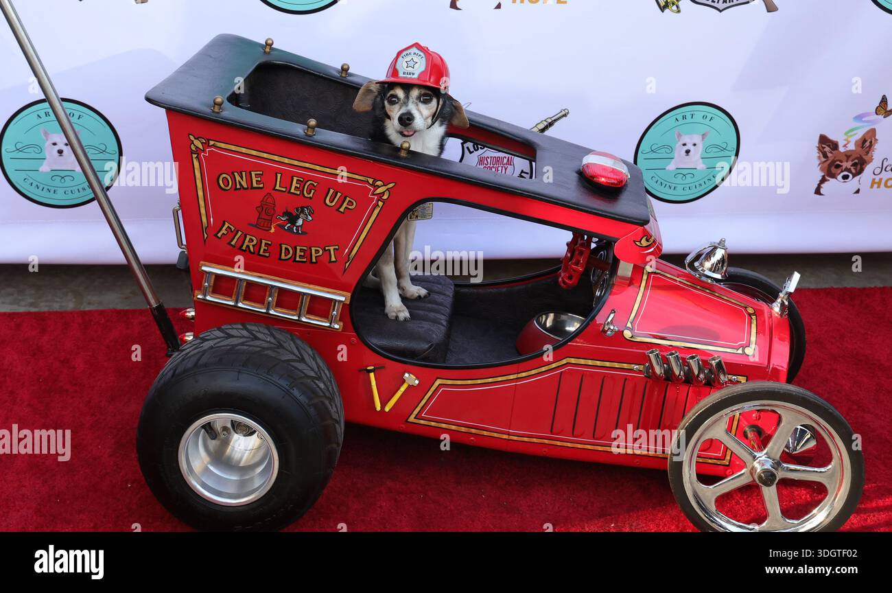 17 January 2026 - Los Angeles, California Hot Rod Homer. The Brave and ...