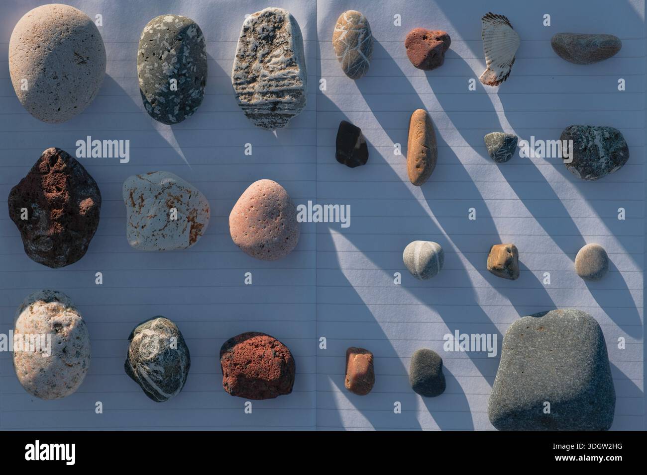 Assorted beach stones arranged in a flat lay, creating natural patterns ...