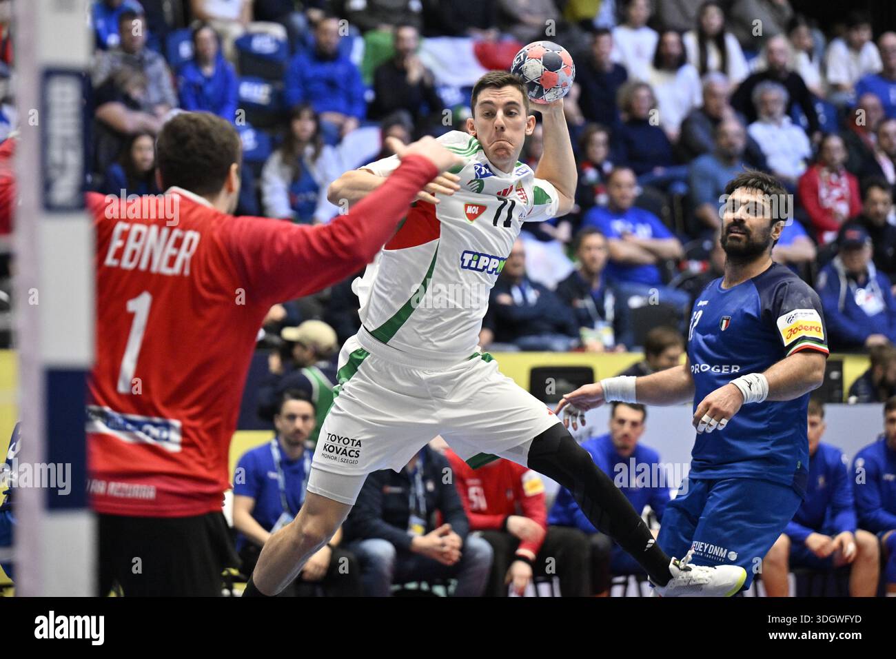 Hungary's Mate Onodi-Janoskuti in action during the European ...