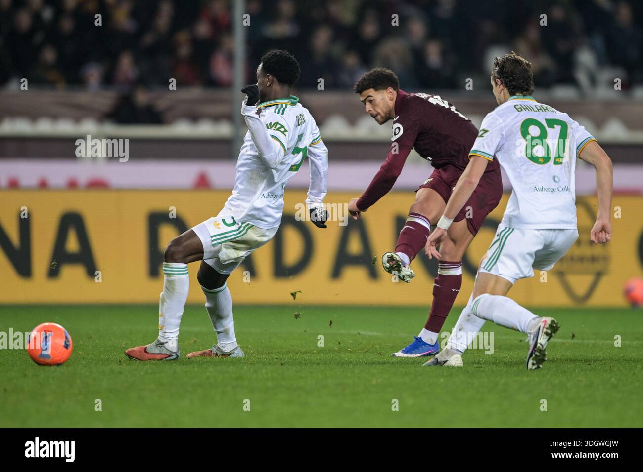 #19 Che Adams of Torino in action during the Serie A match between ...