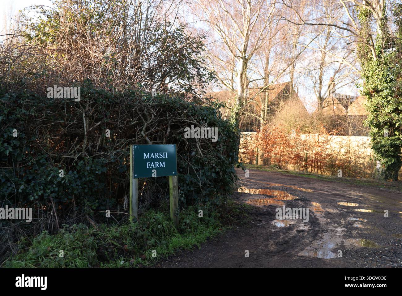 Marsh farm sandringham hi-res stock photography and images - Alamy