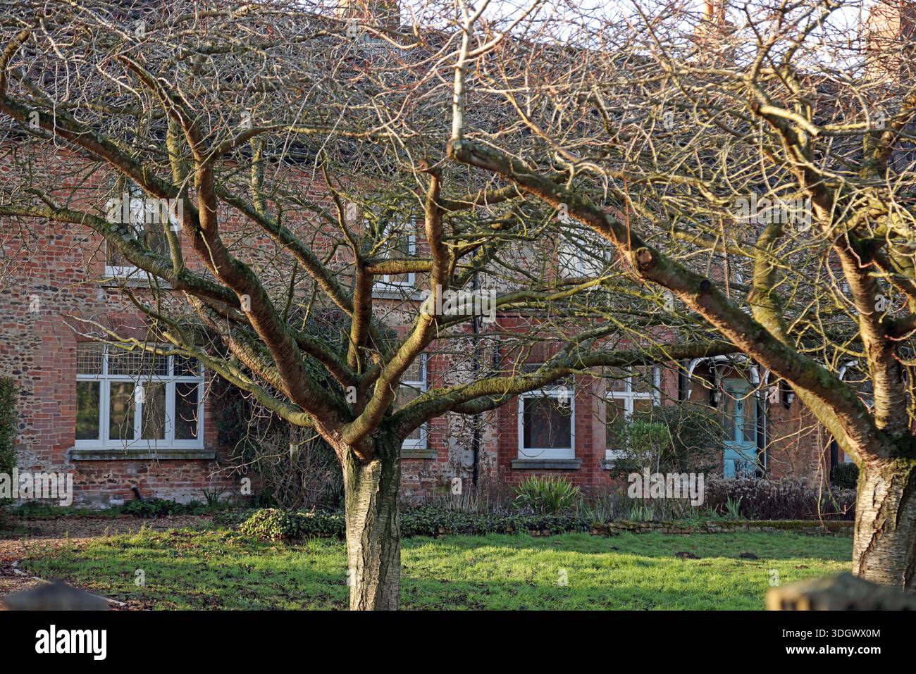 Marsh farm on sandringham hi-res stock photography and images - Alamy