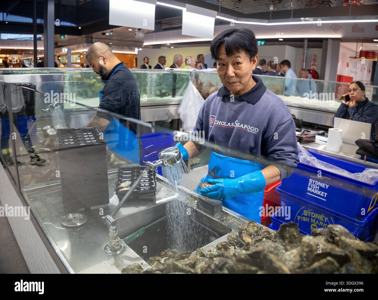 Staff shuck oysters during the official reopening of the Sydney Fish ...