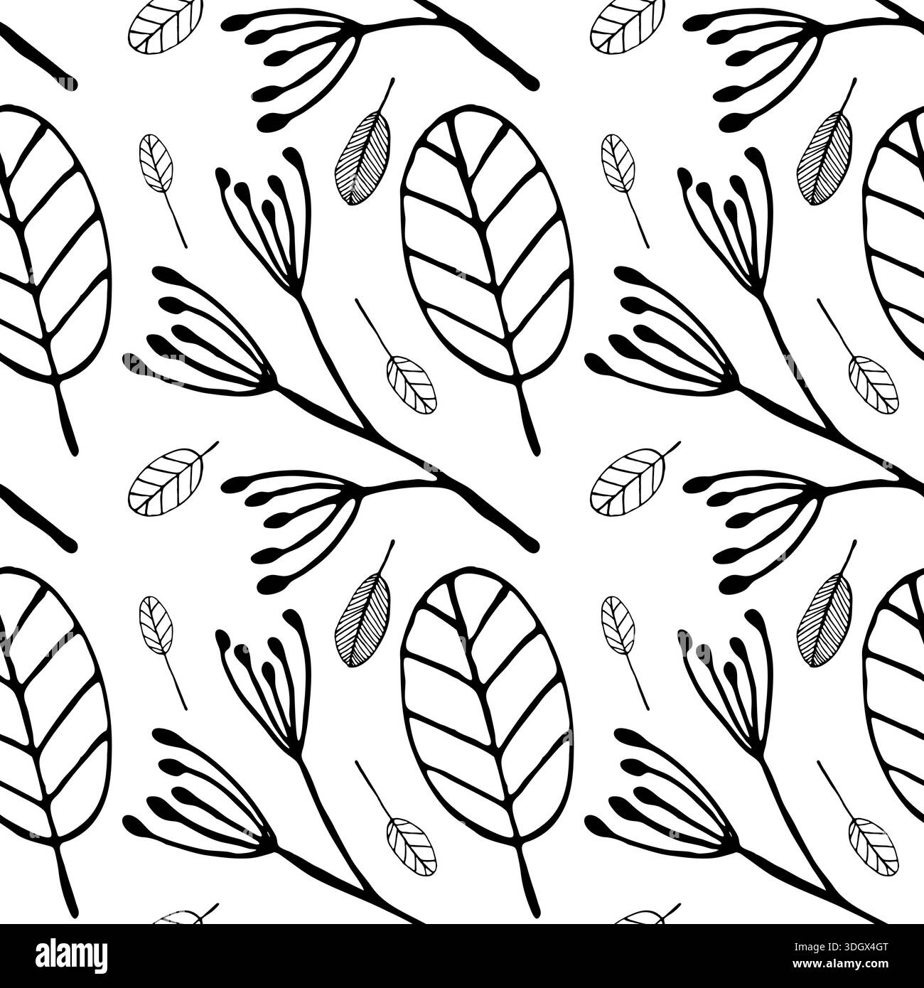 Delicate leaves contrast Black and White Stock Photos & Images - Alamy