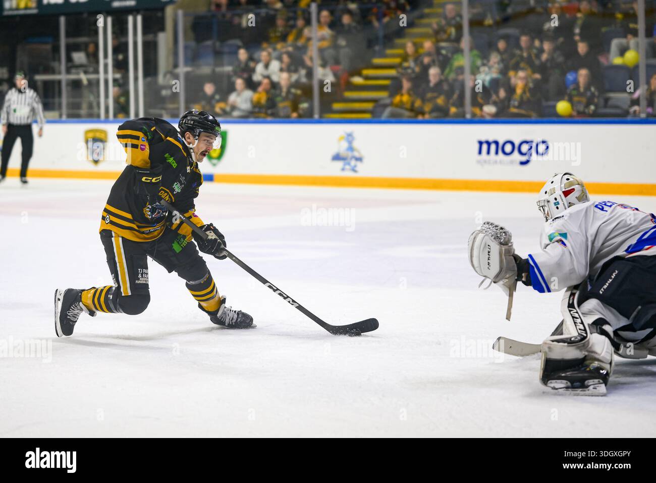 Cooper Zech of Nottingham Panthers score past Vladislav Pestov of HC ...