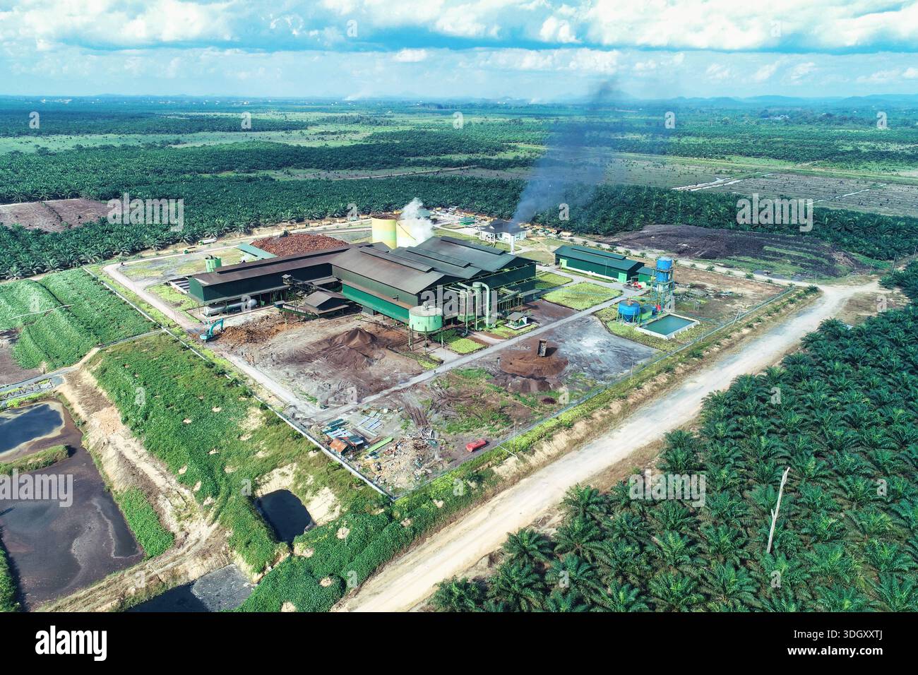 Professional palm oil processing hi-res stock photography and images ...