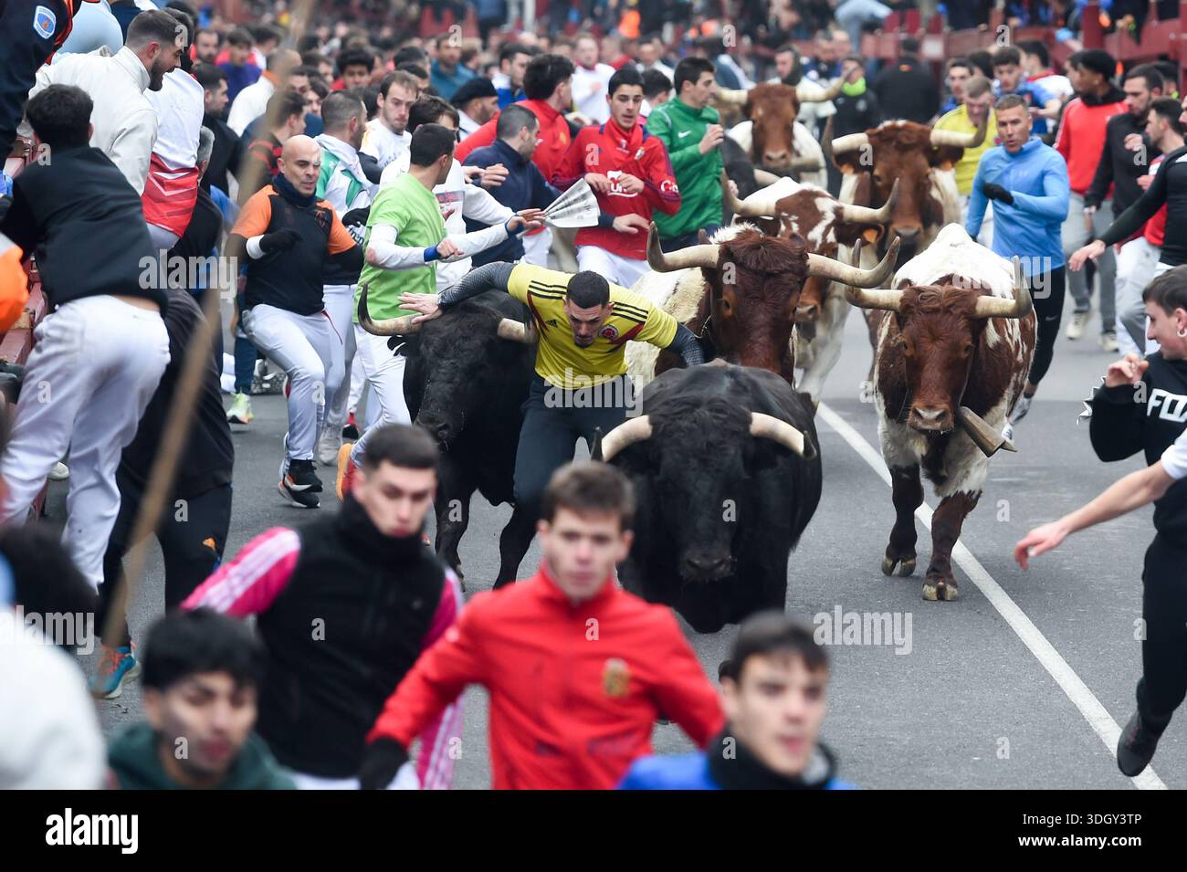 (260119) -- MADRID, Jan. 19, 2026 (Xinhua) -- People attend the Bull ...