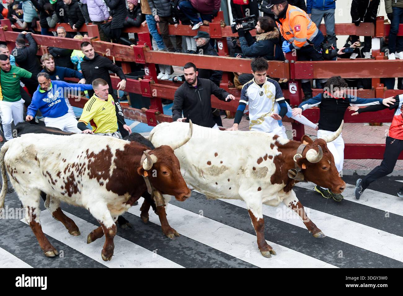 (260119) -- MADRID, Jan. 19, 2026 (Xinhua) -- People attend the Bull ...