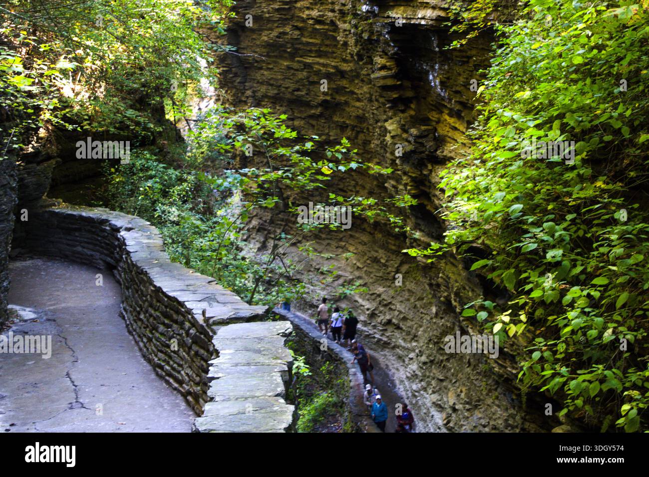 Stone walkway winding through deep gorge surrounded by layered rock ...