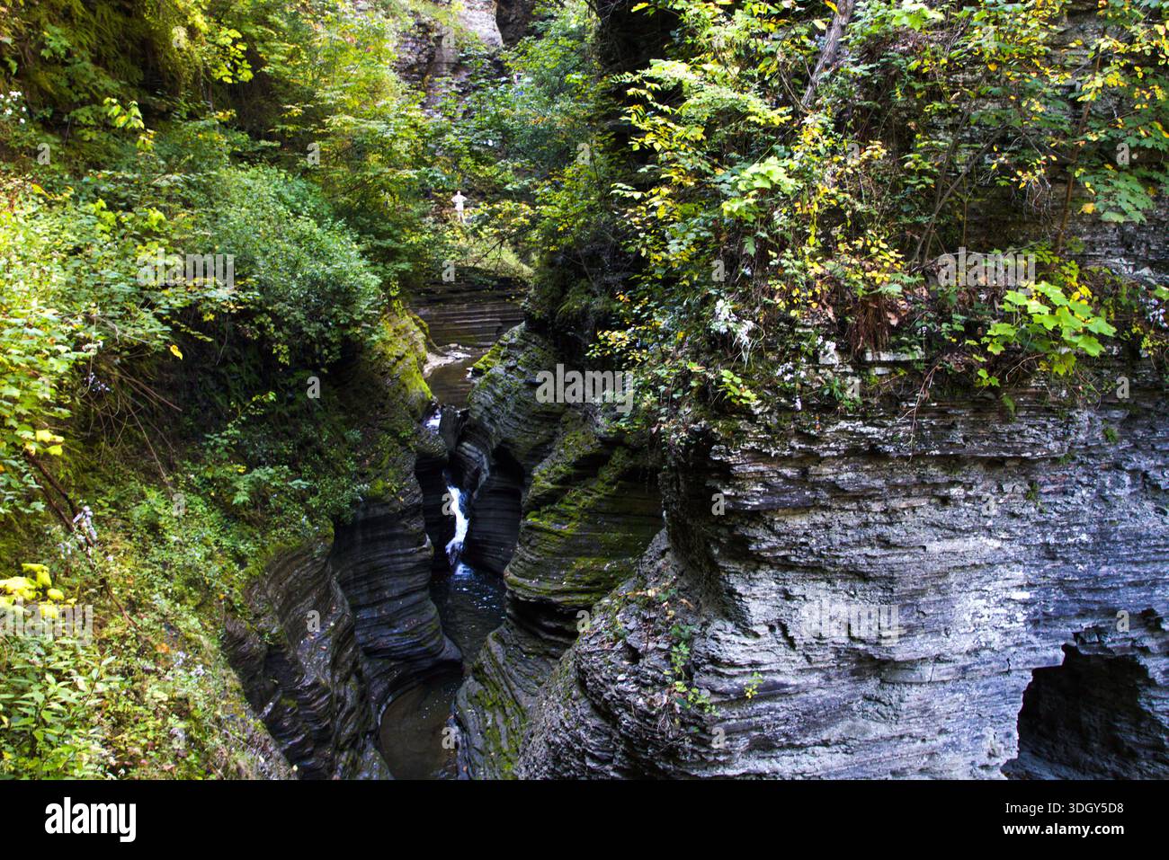 Deep green canyon with narrow river flowing between layered rock walls ...