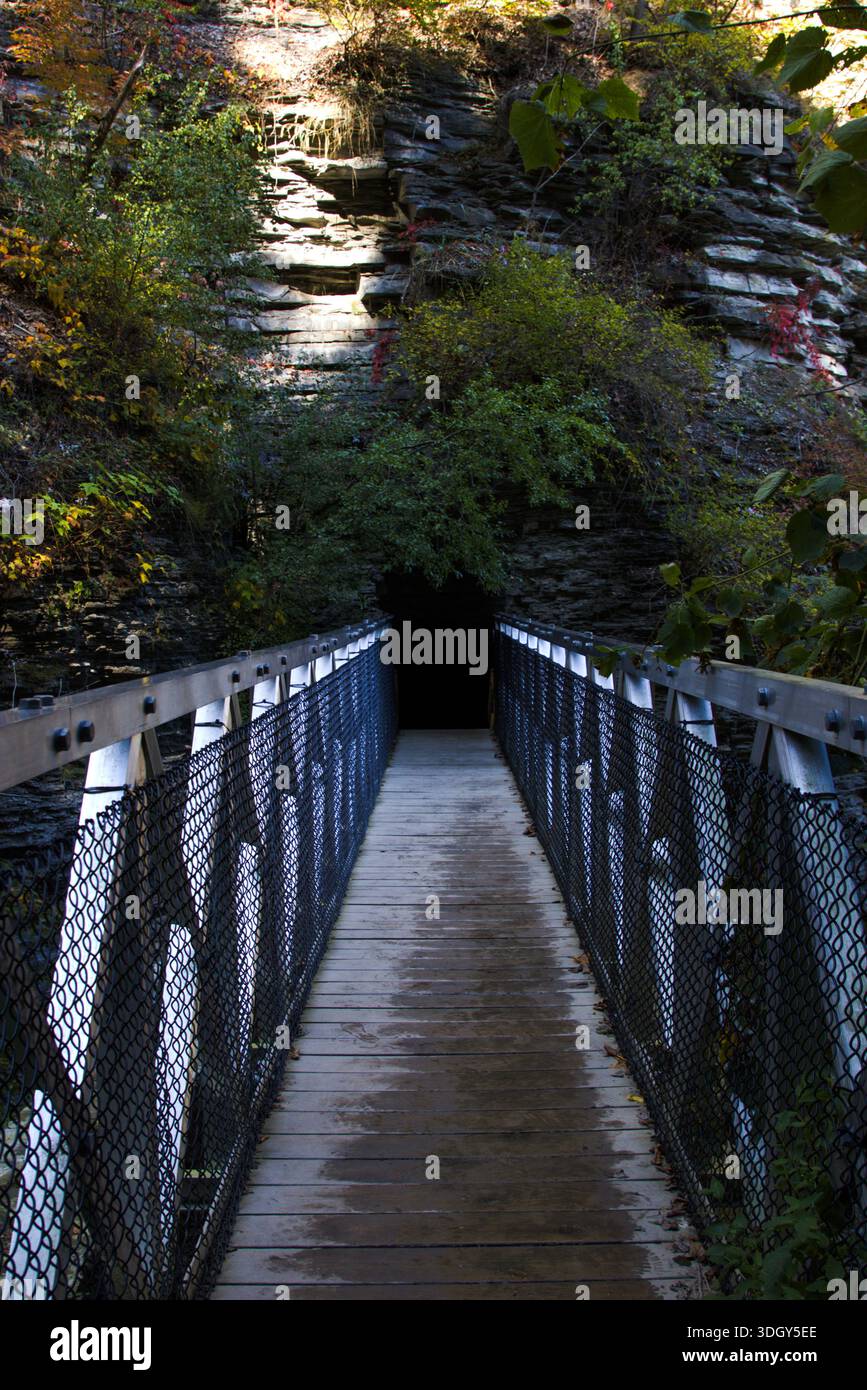 Forested canyon walls creating depth perspective and dramatic natural ...