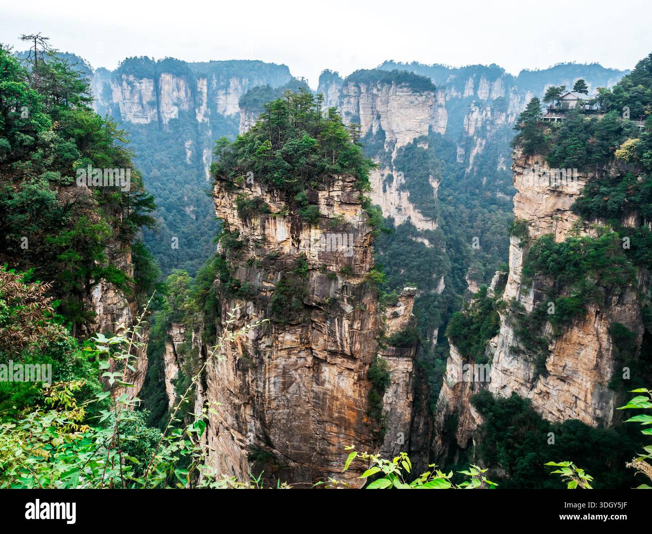 Majestic sandstone pillars of Zhangjiajie National Forest Park ...