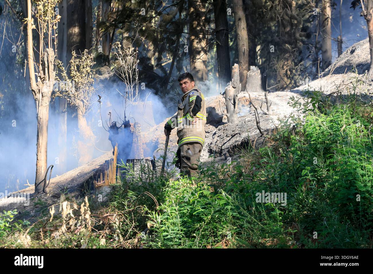 A firefighter works to control wildfires in Concepcion, Chile on Jan ...