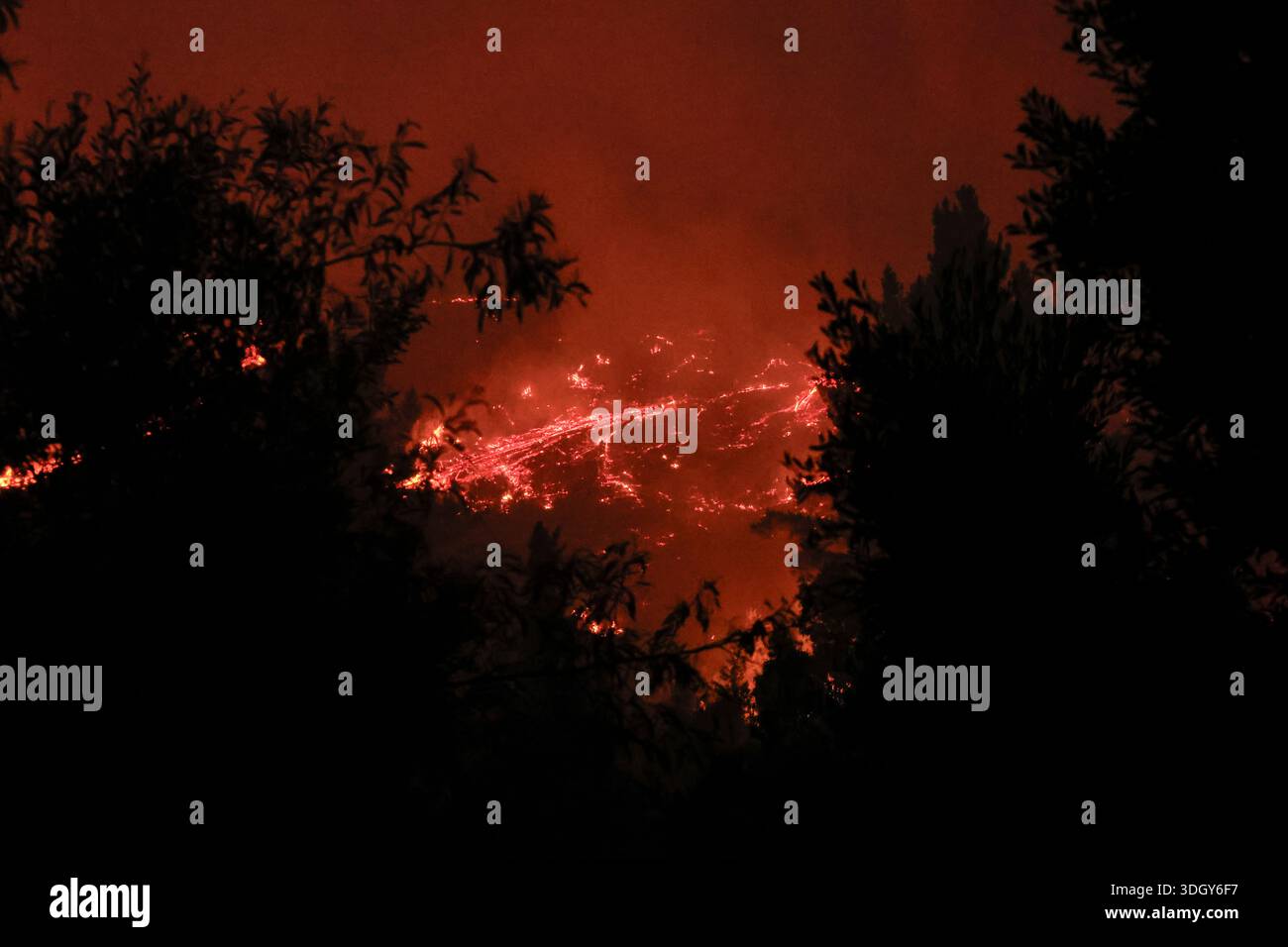 A wildfire in Concepcion, Chile on Jan. 18, 2026. (Photo by Jesus ...