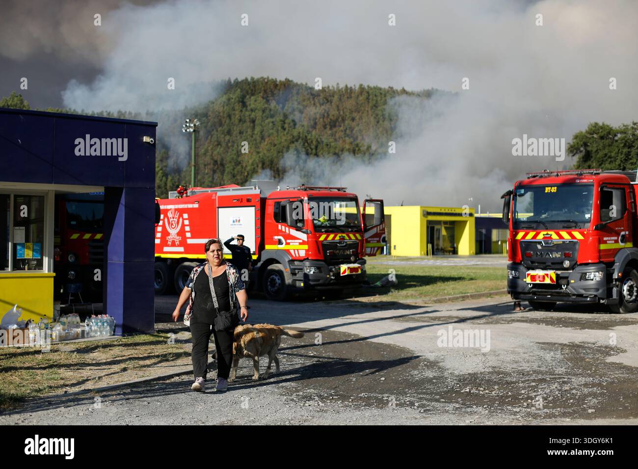 A woman evacuates with her dog as wildfires rage in Concepcion, Chile ...
