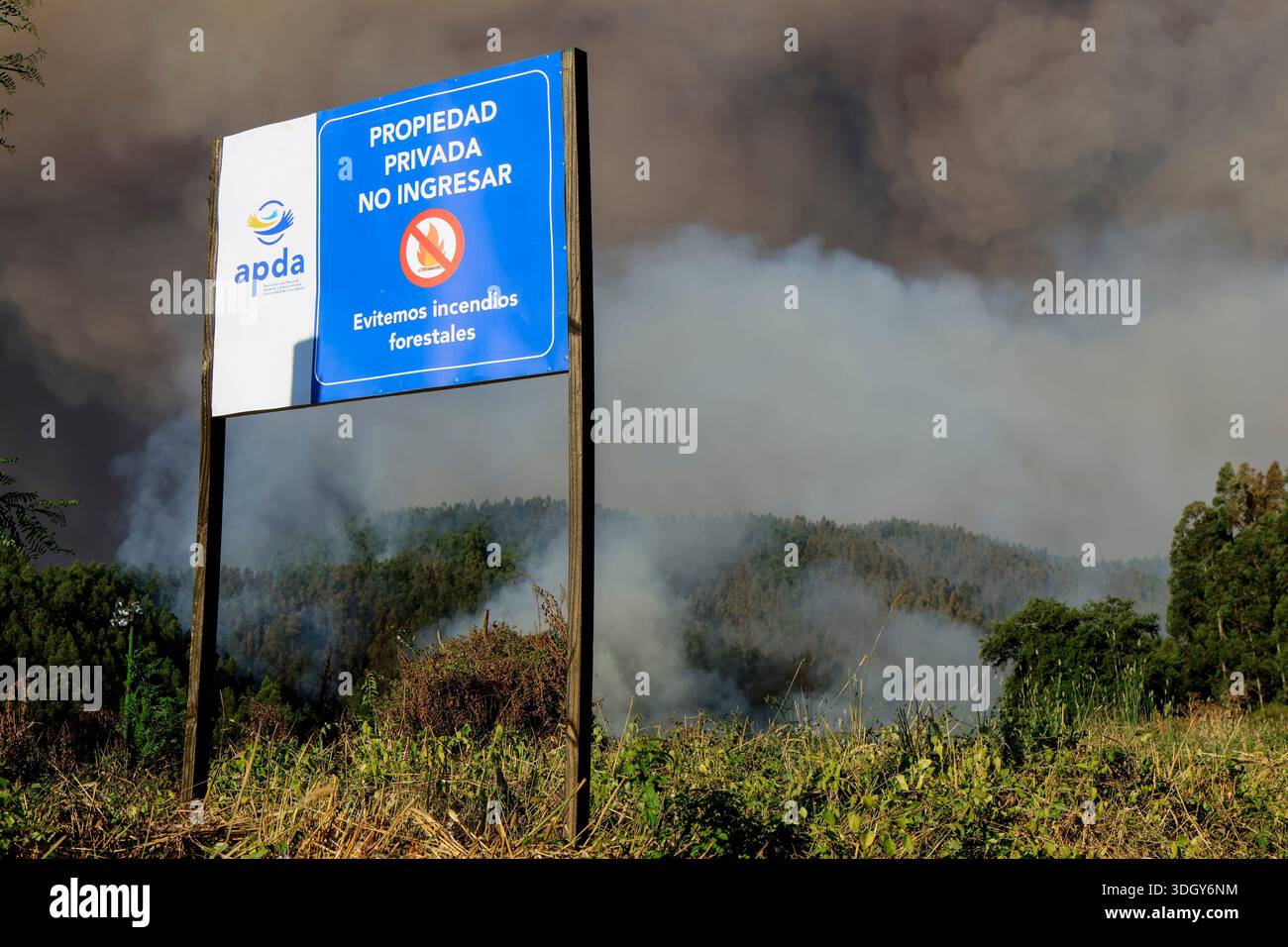 A sign that says "Let's prevent wildfires” while a large wildfire rages ...