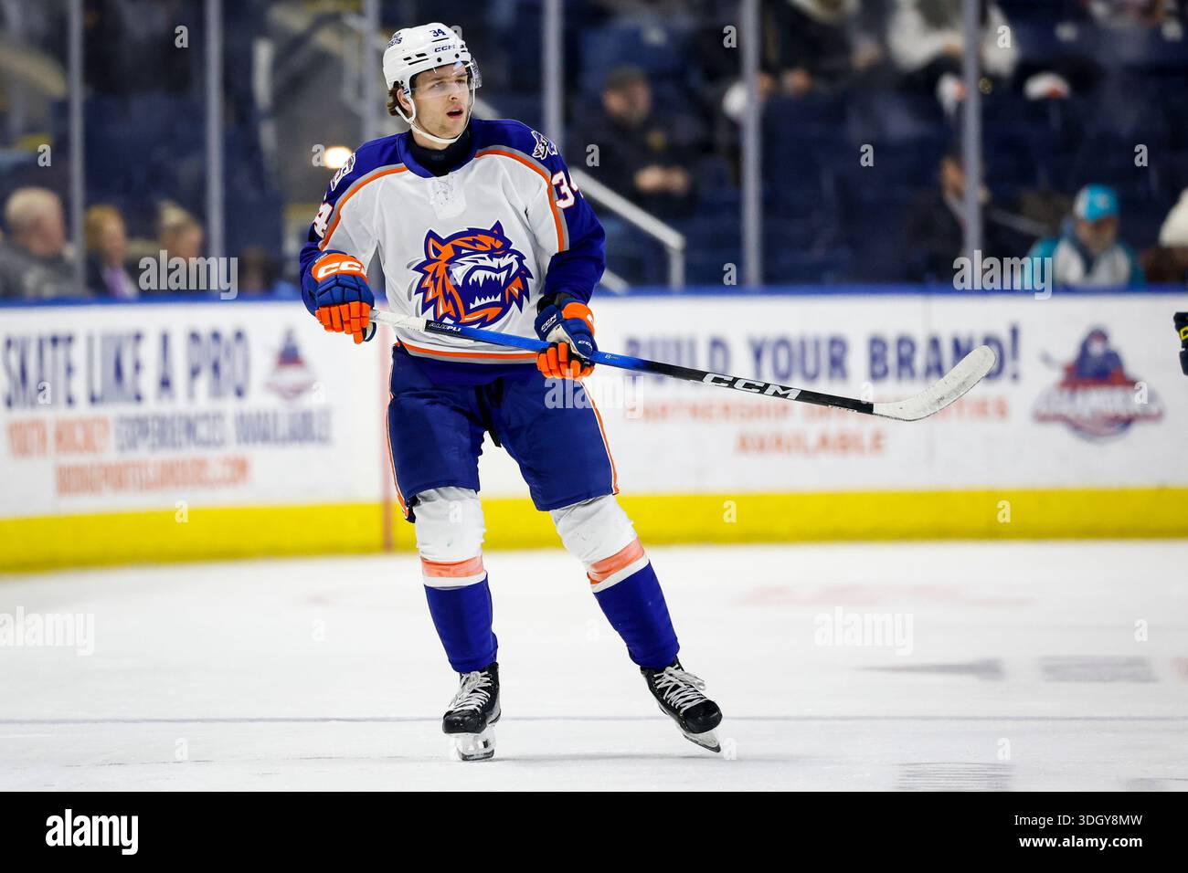 January 17, 2026: Bridgeport Islanders left wing Adam Beckman (34 ...