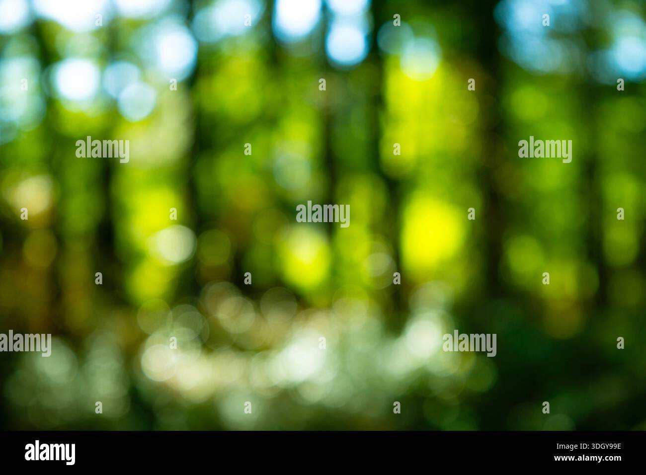 Green nature background soft texture. Green background blurred foliage ...