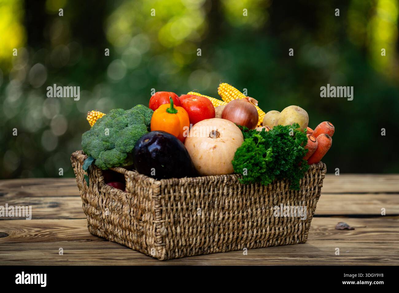 Harvest vegetables display in autumn. Harvest farm produce on wooden ...