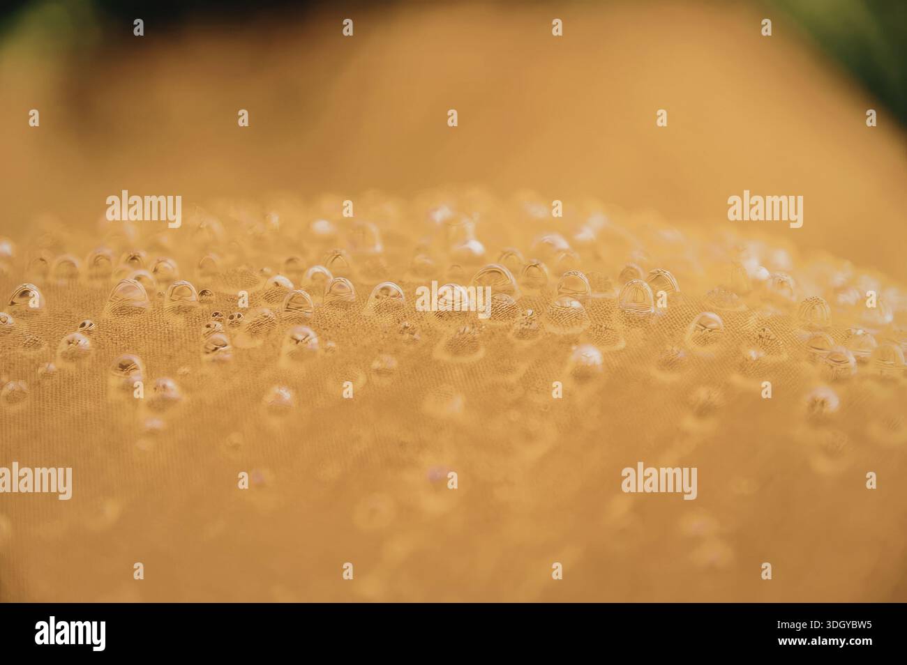 A detailed close-up photograph of numerous water droplets scattered ...