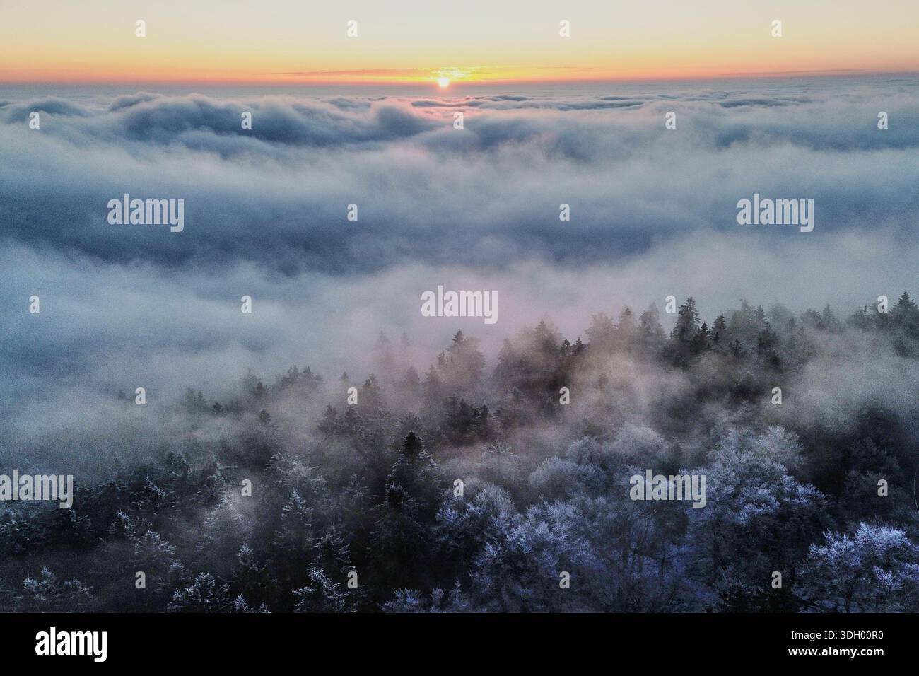 Fog drifts over the Taunus region near Frankfurt, Germany, Monday, Jan ...