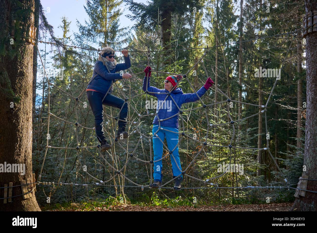 Senior women climbing trees hi-res stock photography and images - Alamy