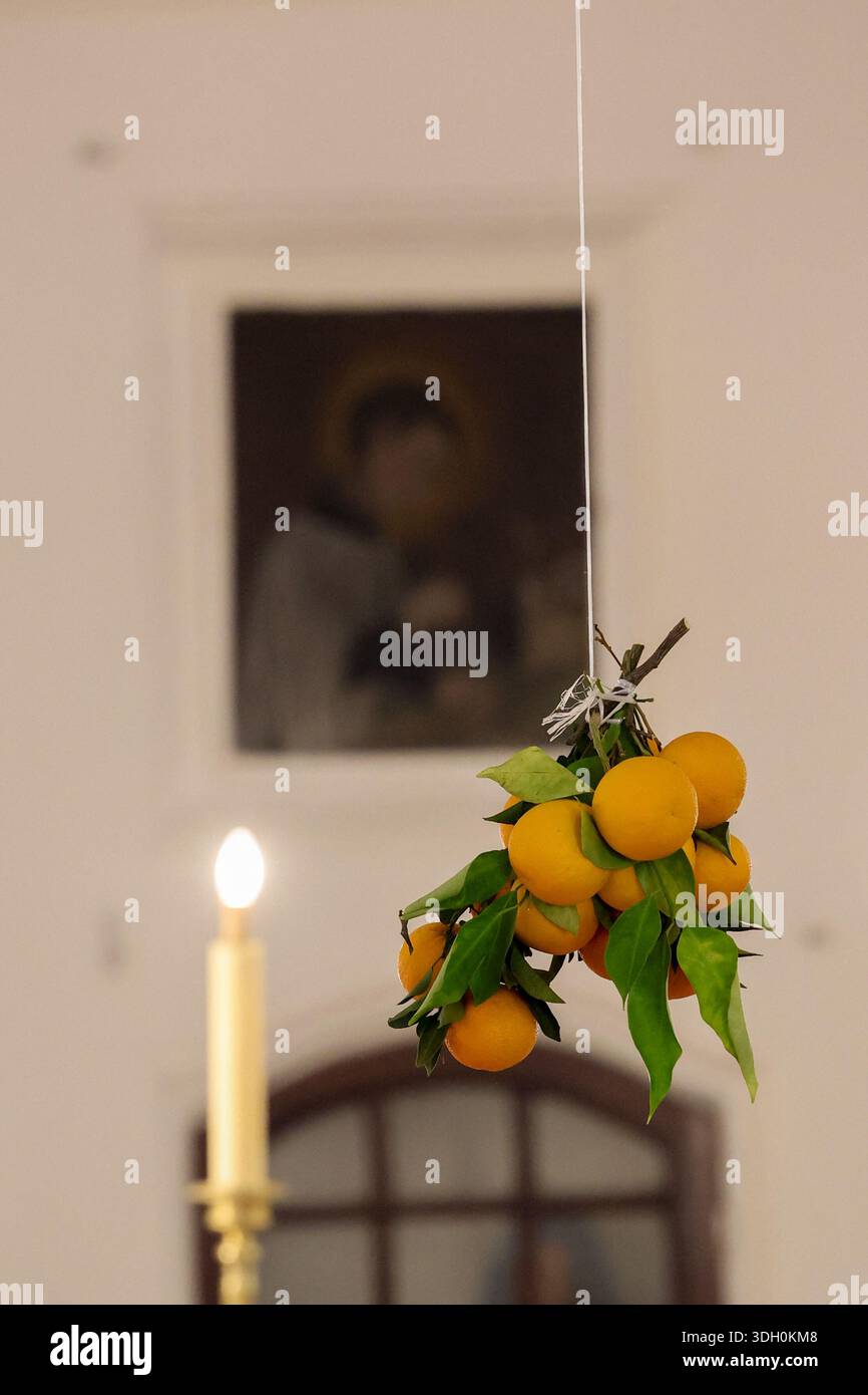 Aregno, France. 18th Jan, 2026. Many locals celebrated Saint Antoine ...