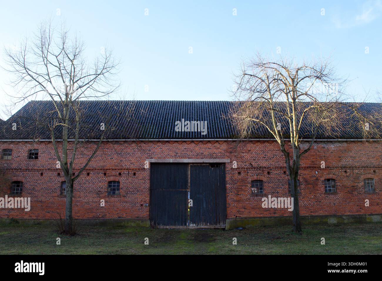 PRODUCTION - 16 January 2026, Saxony-Anhalt, Neulingen: The driveway to ...