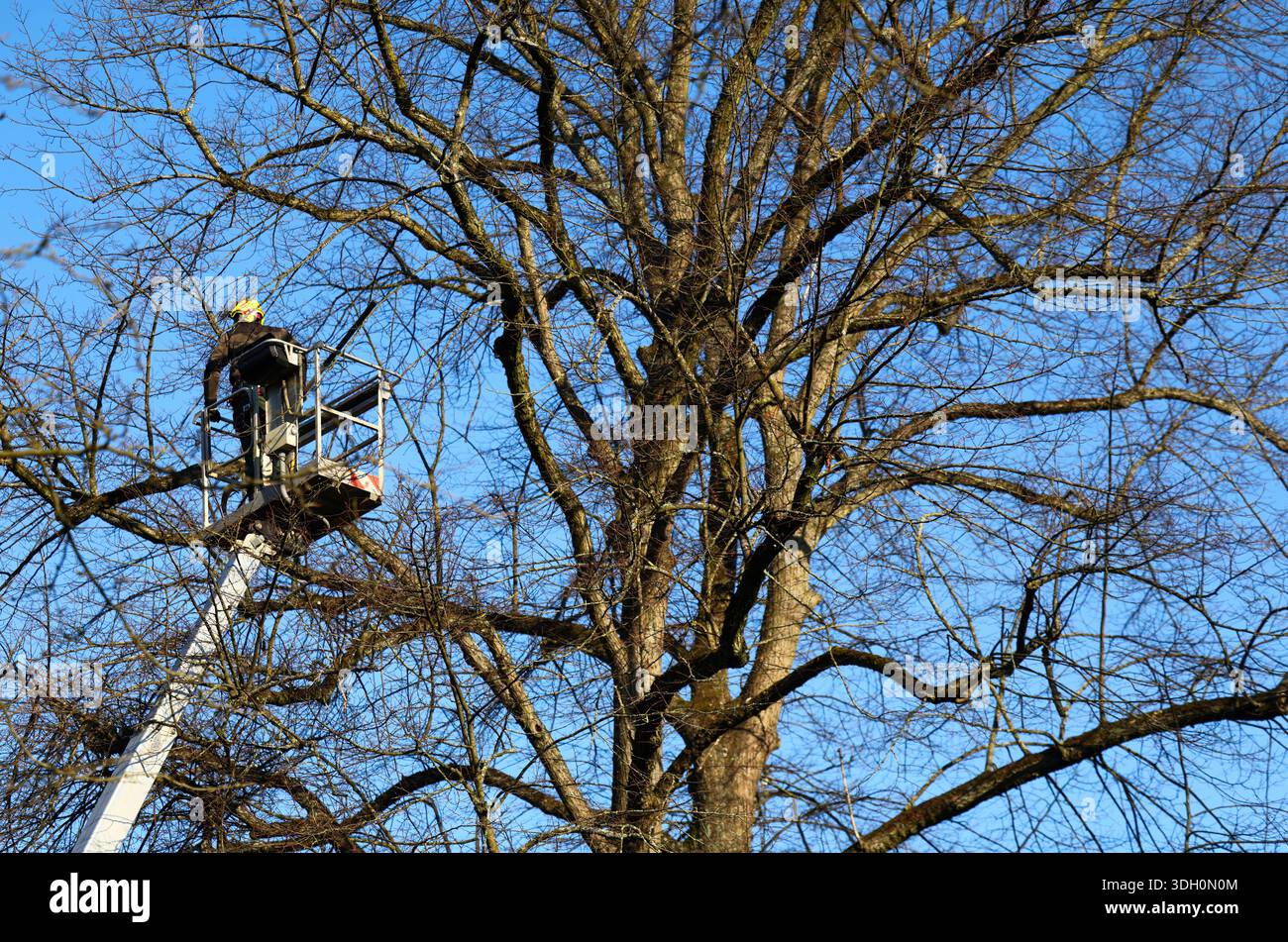 Hamburg, Germany. 19th Jan, 2026. In sunshine and frosty temperatures ...
