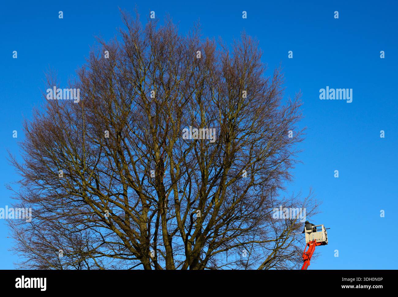 Hamburg, Germany. 19th Jan, 2026. In sunshine and frosty temperatures ...