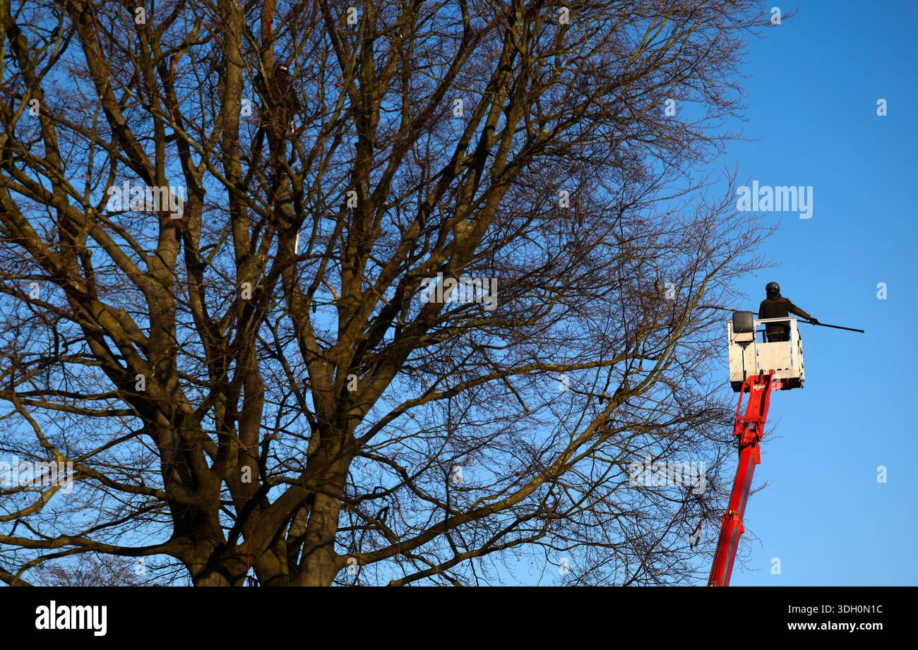 Hamburg, Germany. 19th Jan, 2026. In sunshine and frosty temperatures ...