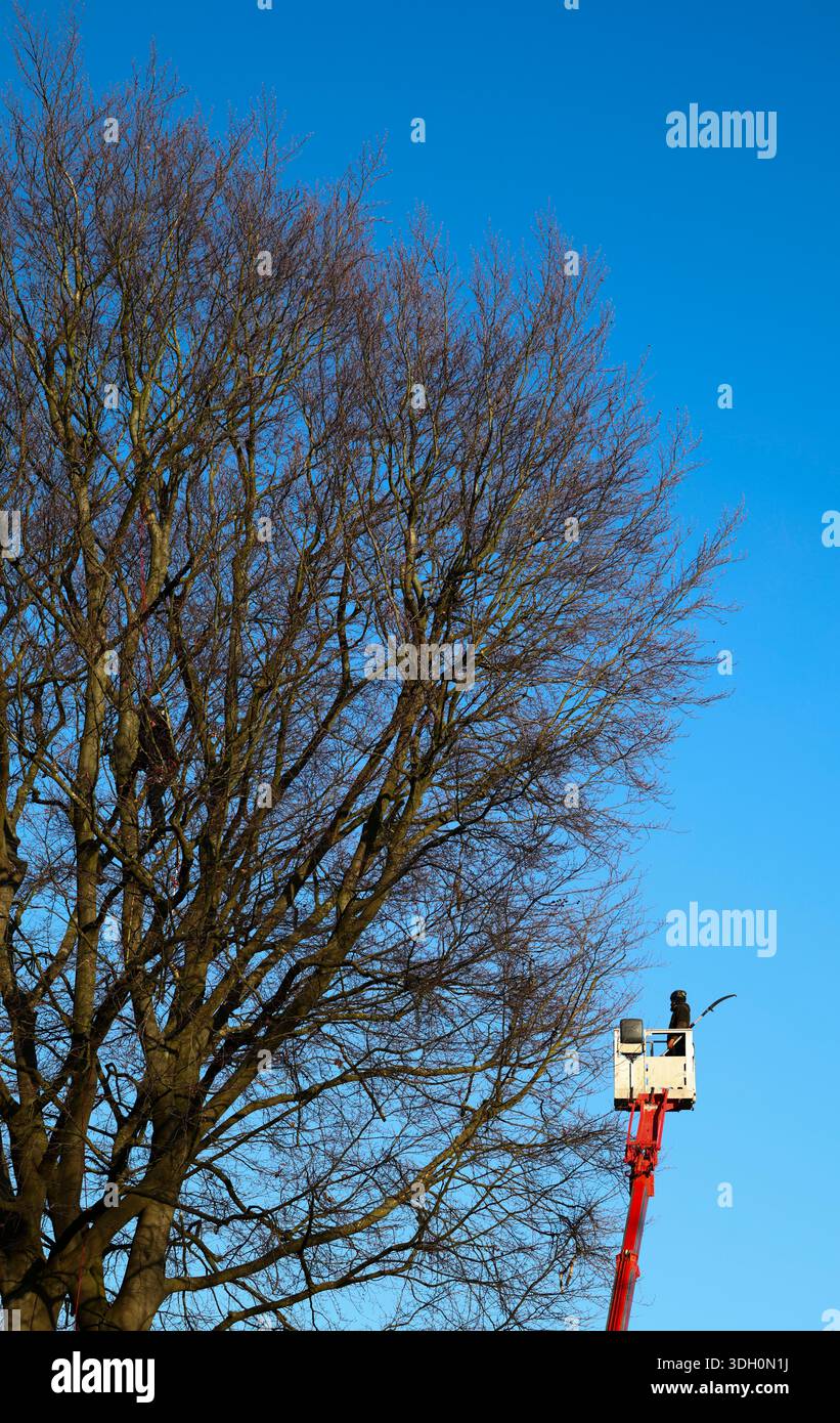 Hamburg, Germany. 19th Jan, 2026. In sunshine and frosty temperatures ...