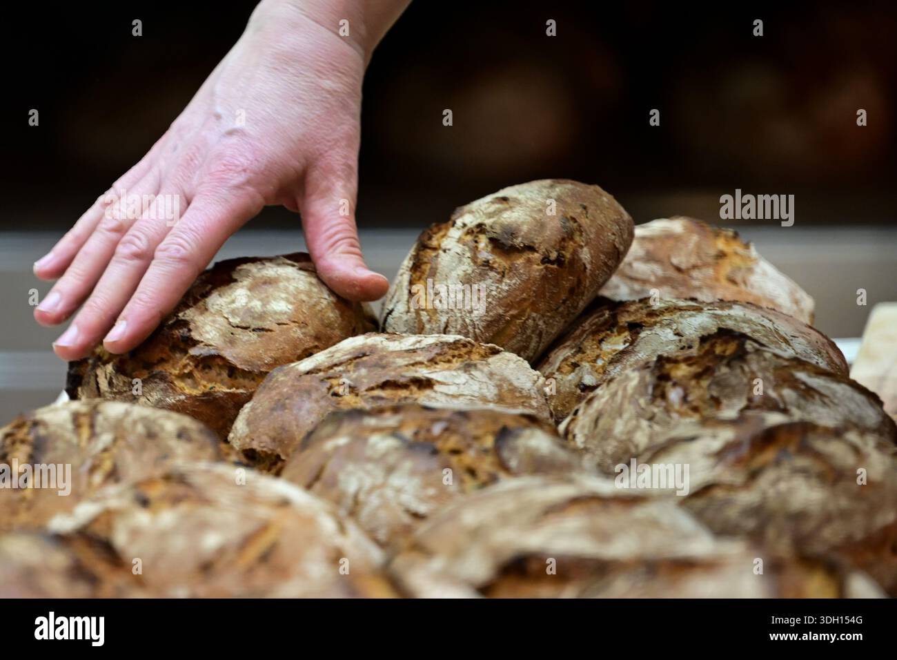 Berlin, Germany. 19th Jan, 2026. A baker touches freshly baked bread at ...
