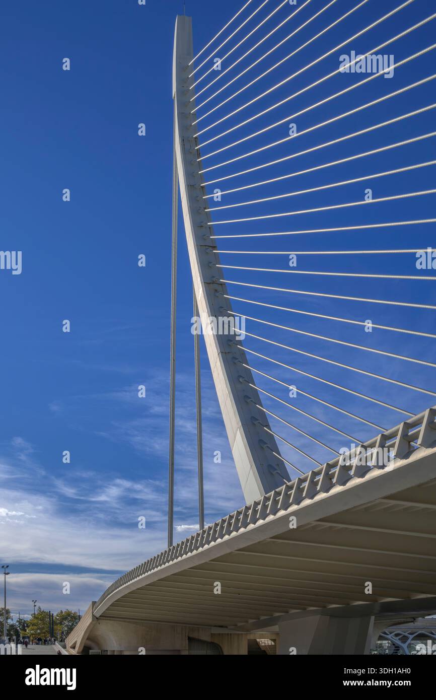 Assut de l'Or Bridge by Santiago Calatrava. A single-pylon cable-stayed ...