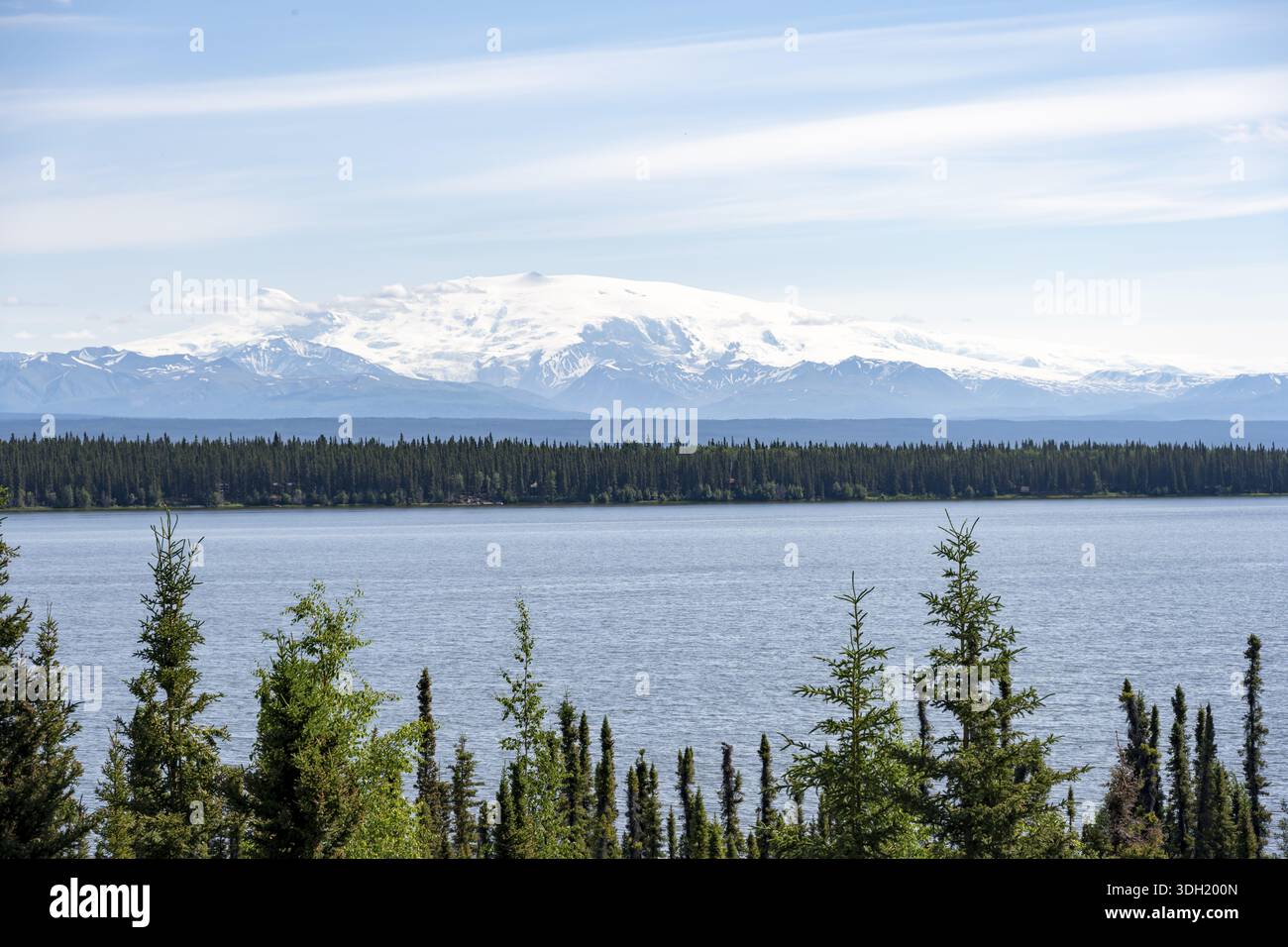 Lake Willow Lake, taiga landscape with high glaciated mountain peak ...