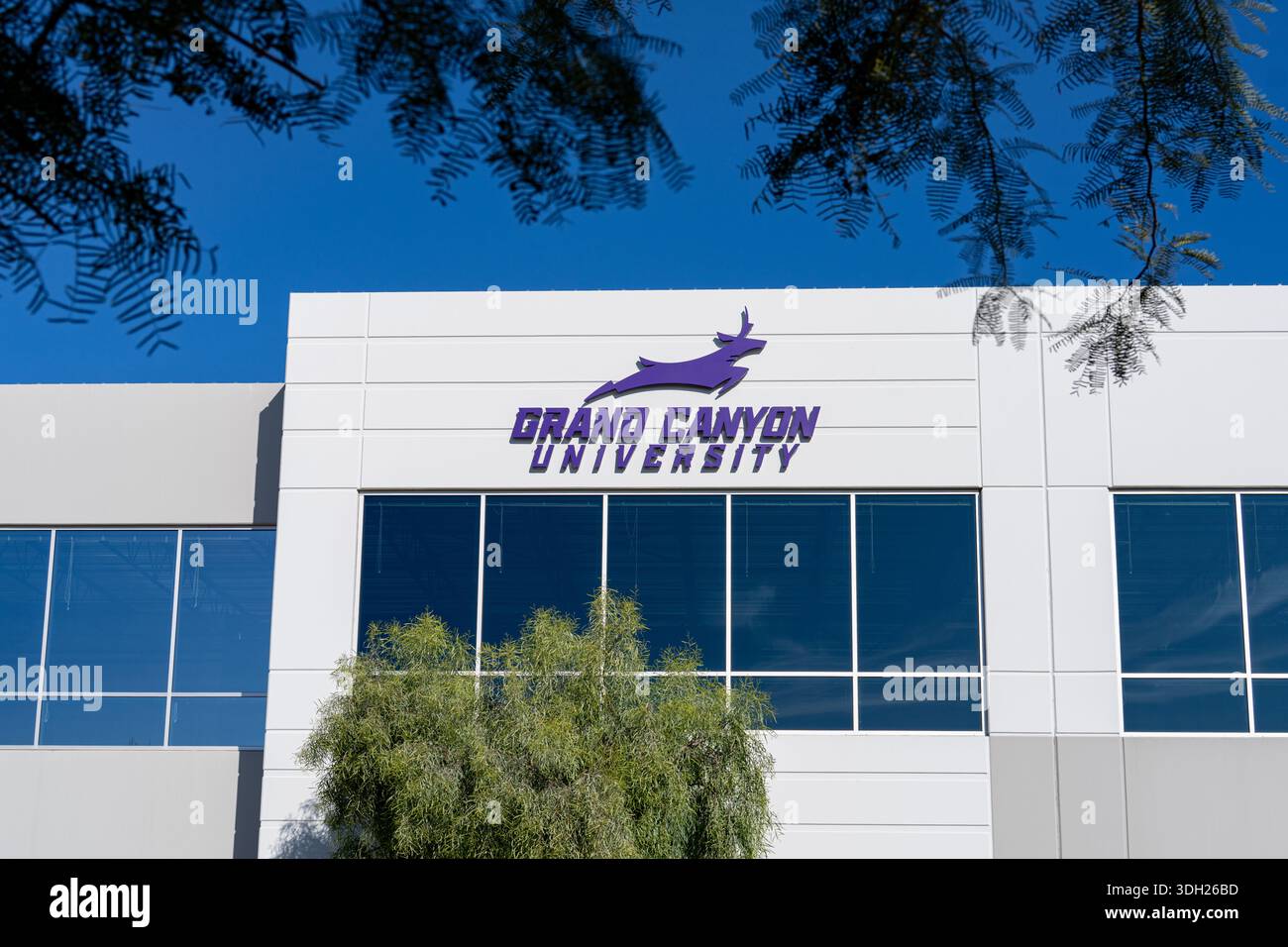 Bachelor of science nursing hi-res stock photography and images - Alamy