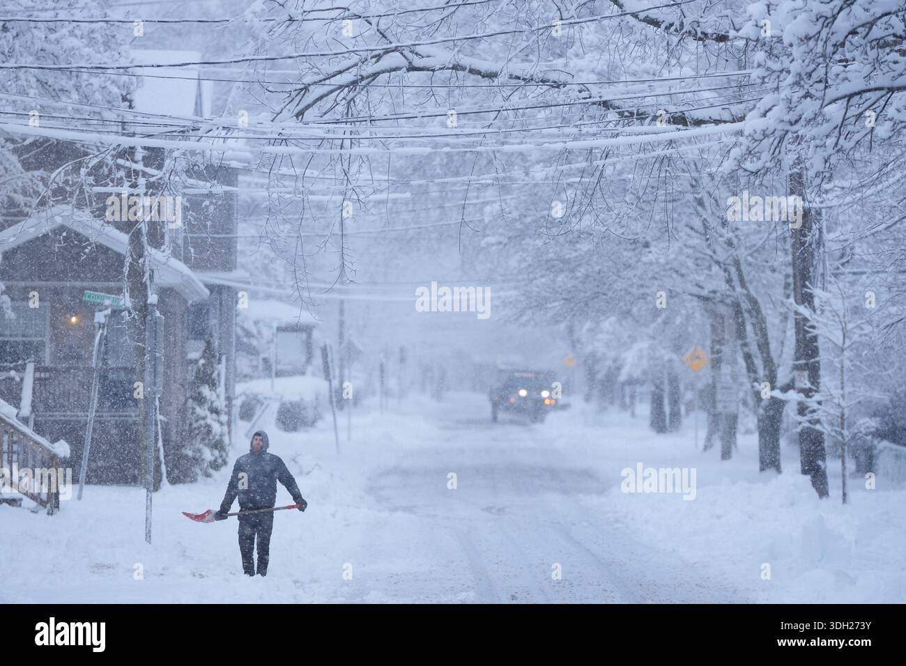 Halifax, Canada. 19th Jan, 2026. A person pauses while shovelling snow ...