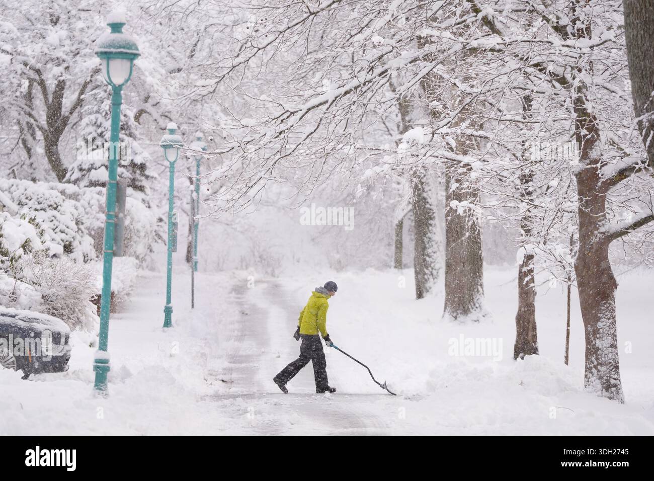 Halifax, Canada. 19th Jan, 2026. A person shovels snow following a ...