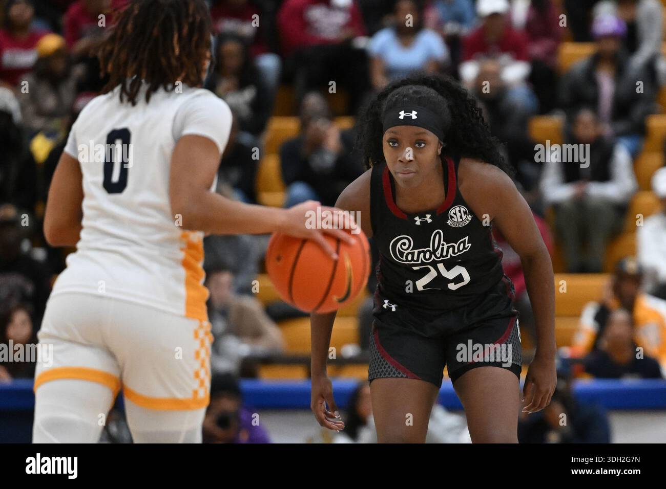 South Carolina guard Raven Johnson (25) defends during the first half ...