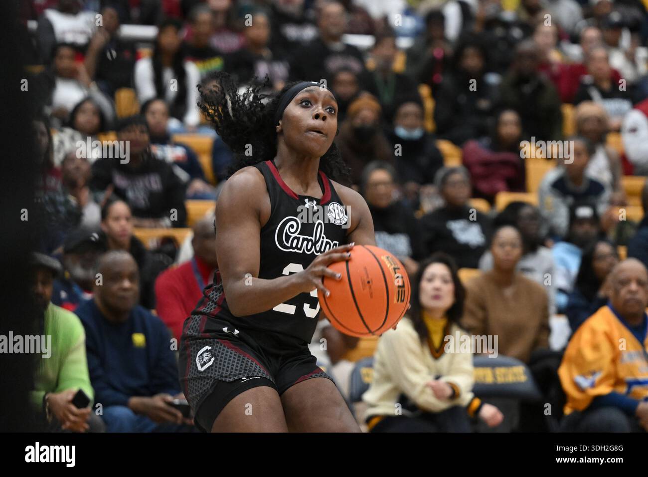 South Carolina guard Raven Johnson (25) looks to shoot during the first ...