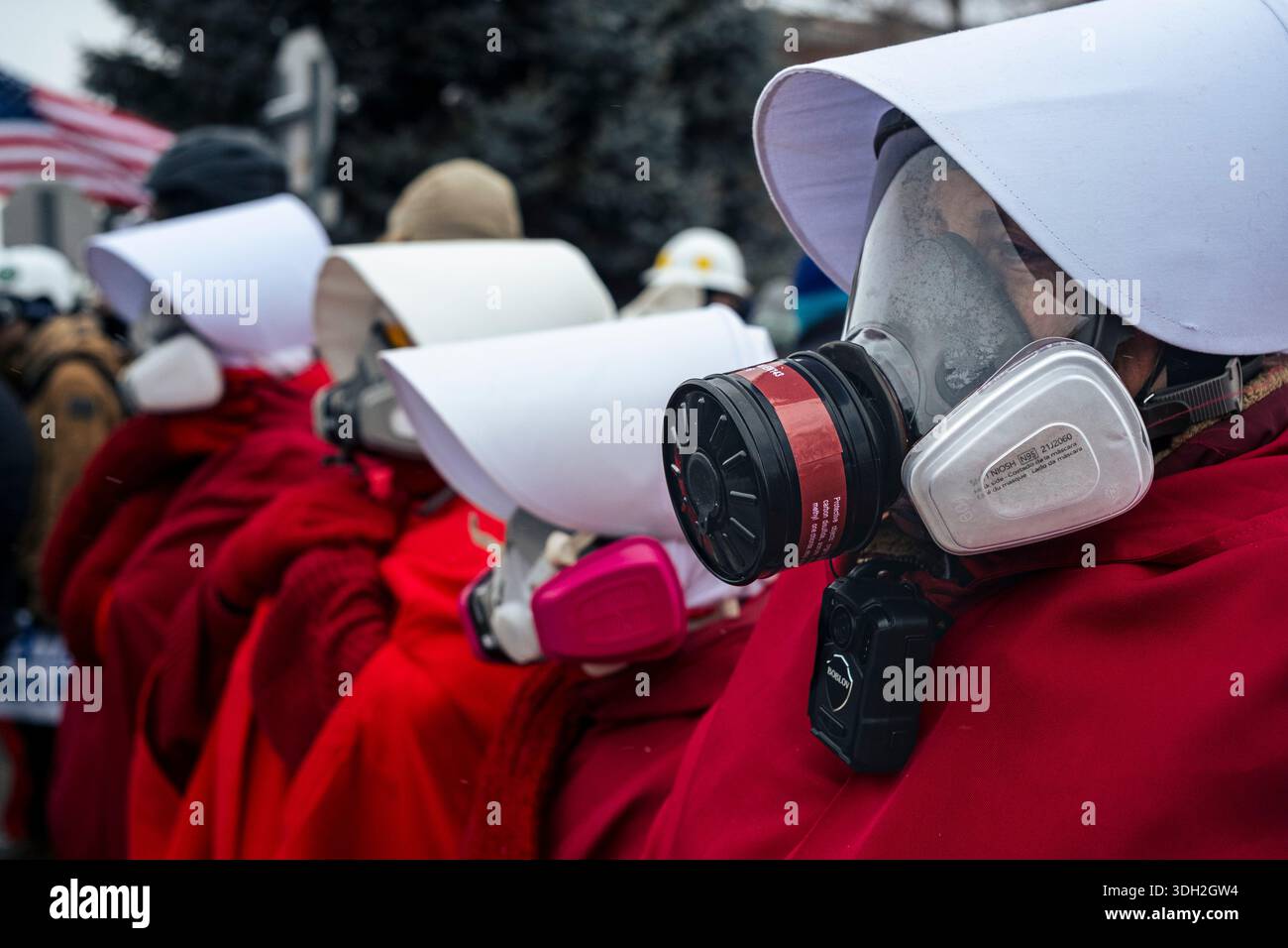 Fort Snelling, Minnesota, USA. 18th Jan, 2026. Protesters dressed as ...