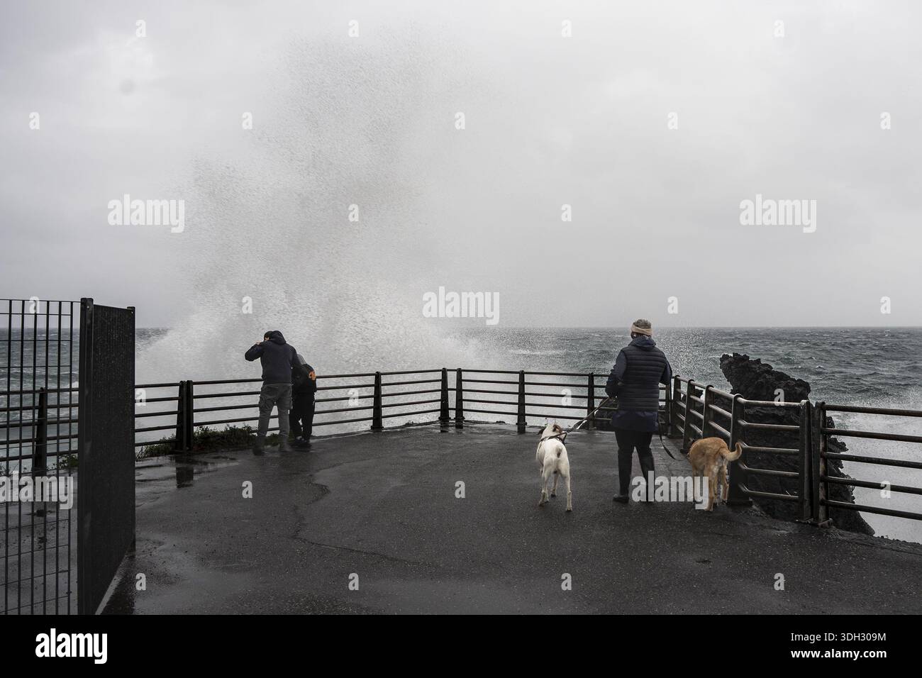 Catania, anticipation for the Harry cyclone on the Catania waterfront ...