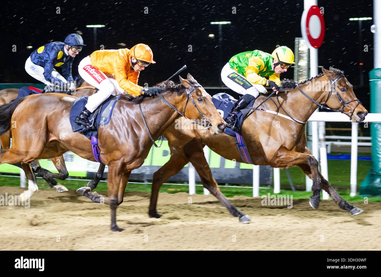 Wolverhampton, UK, Monday 19th January 2026; Vince Lombardi and jockey ...