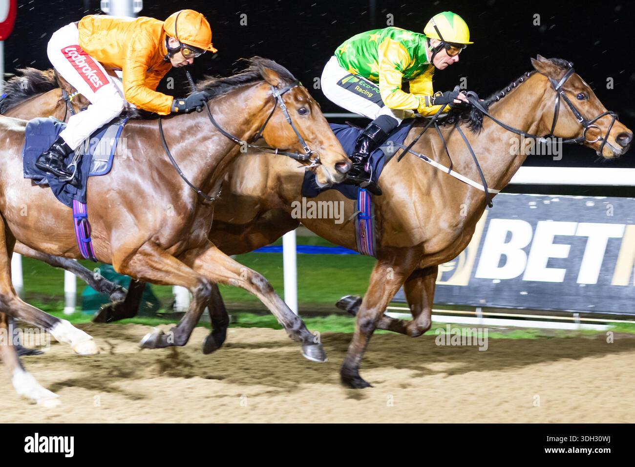 Wolverhampton, UK, Monday 19th January 2026; Vince Lombardi and jockey ...