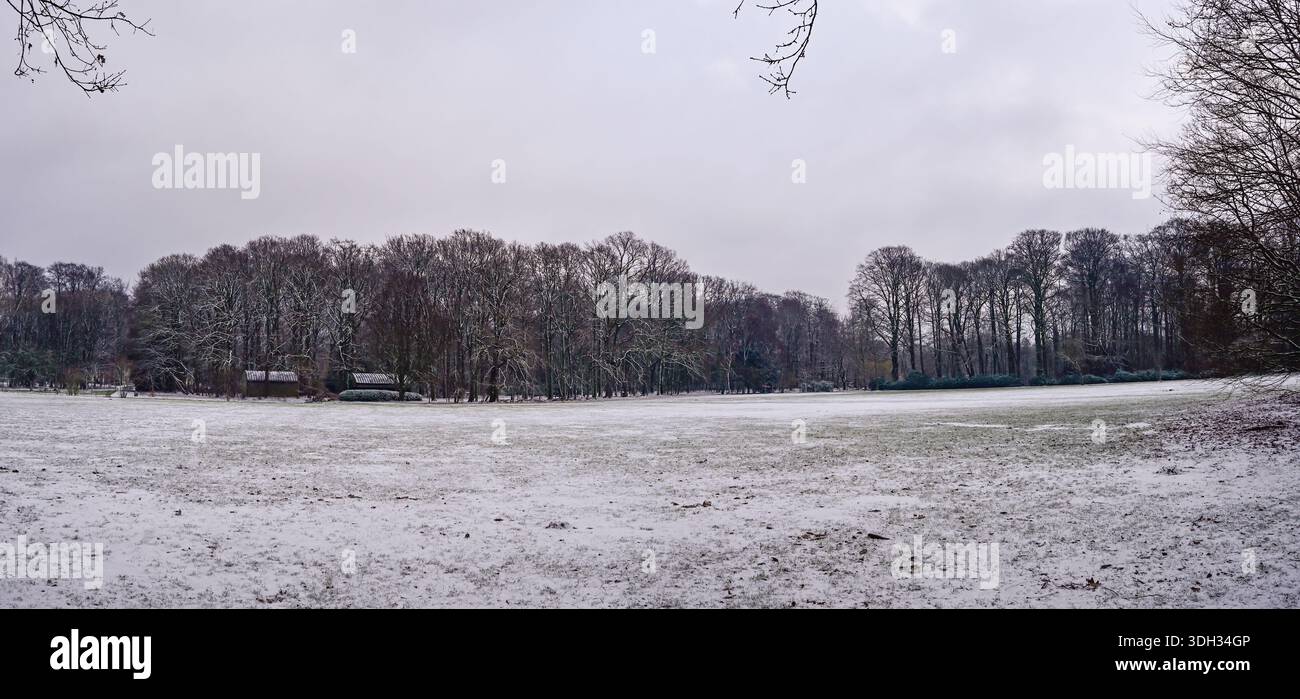 Gentle snowfall creates hi-res stock photography and images - Alamy