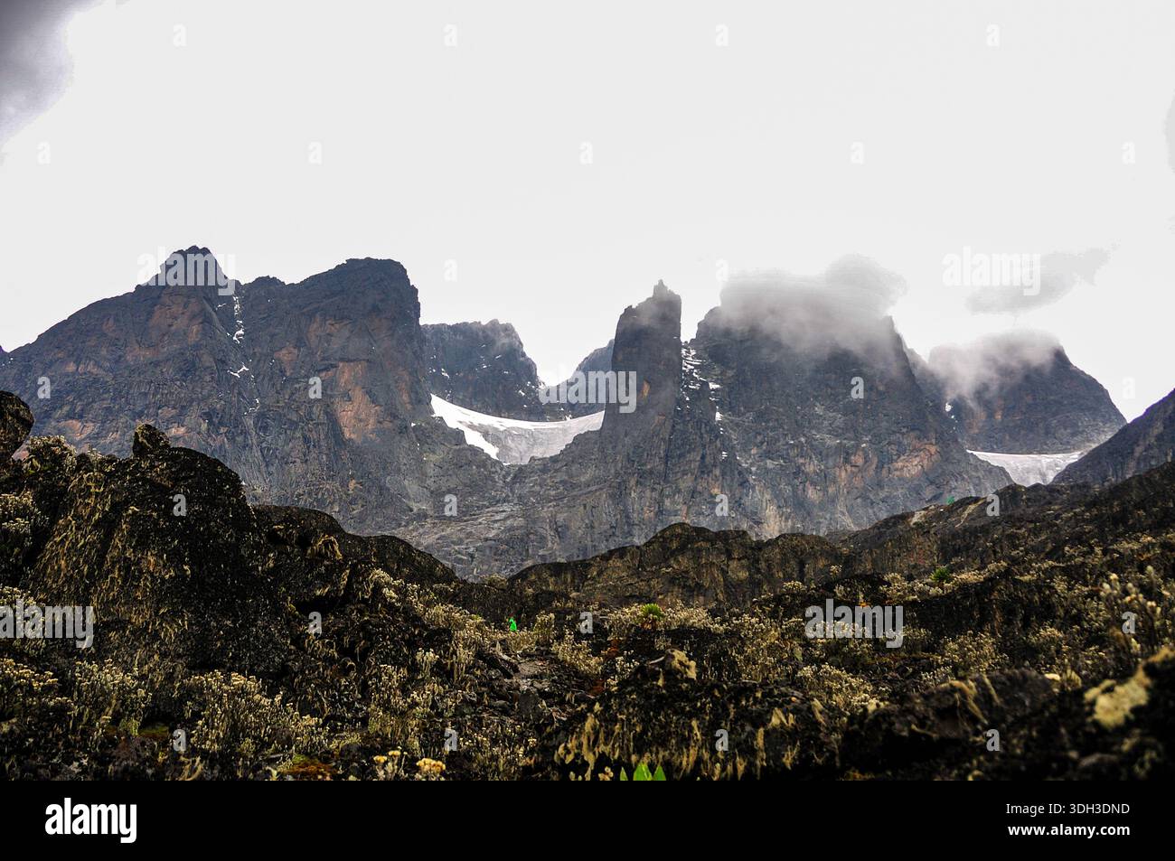 The Luigi di Savoia Peaks rise sharply in Uganda’s Rwenzori Mountains ...